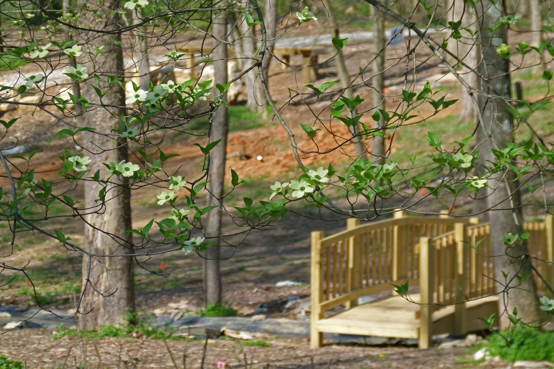 CMNP-web-background - Creasey Mahan Nature Preserve