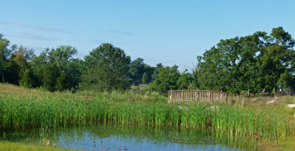 Home - Creasey Mahan Nature Preserve