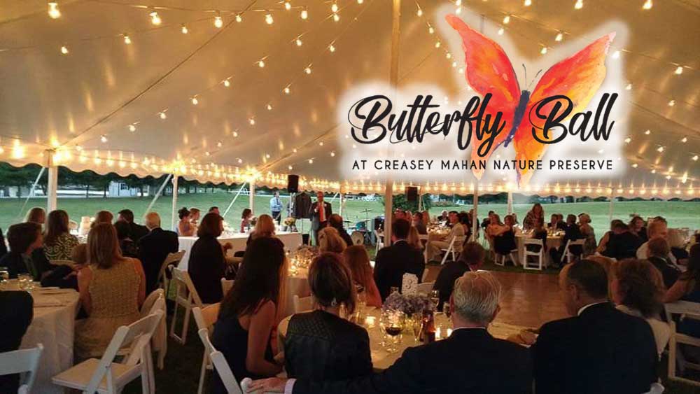 Butterfly-Ball-banner-for-web-site - Creasey Mahan Nature Preserve
