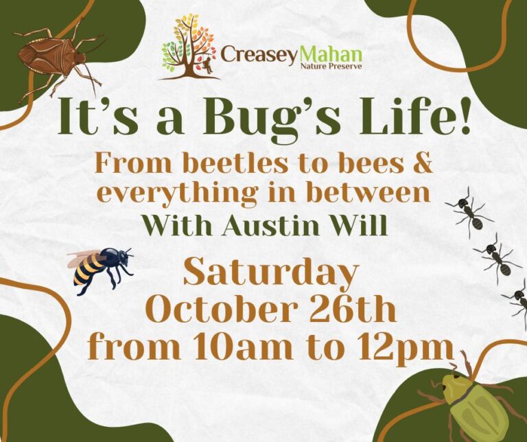 Home - Creasey Mahan Nature Preserve