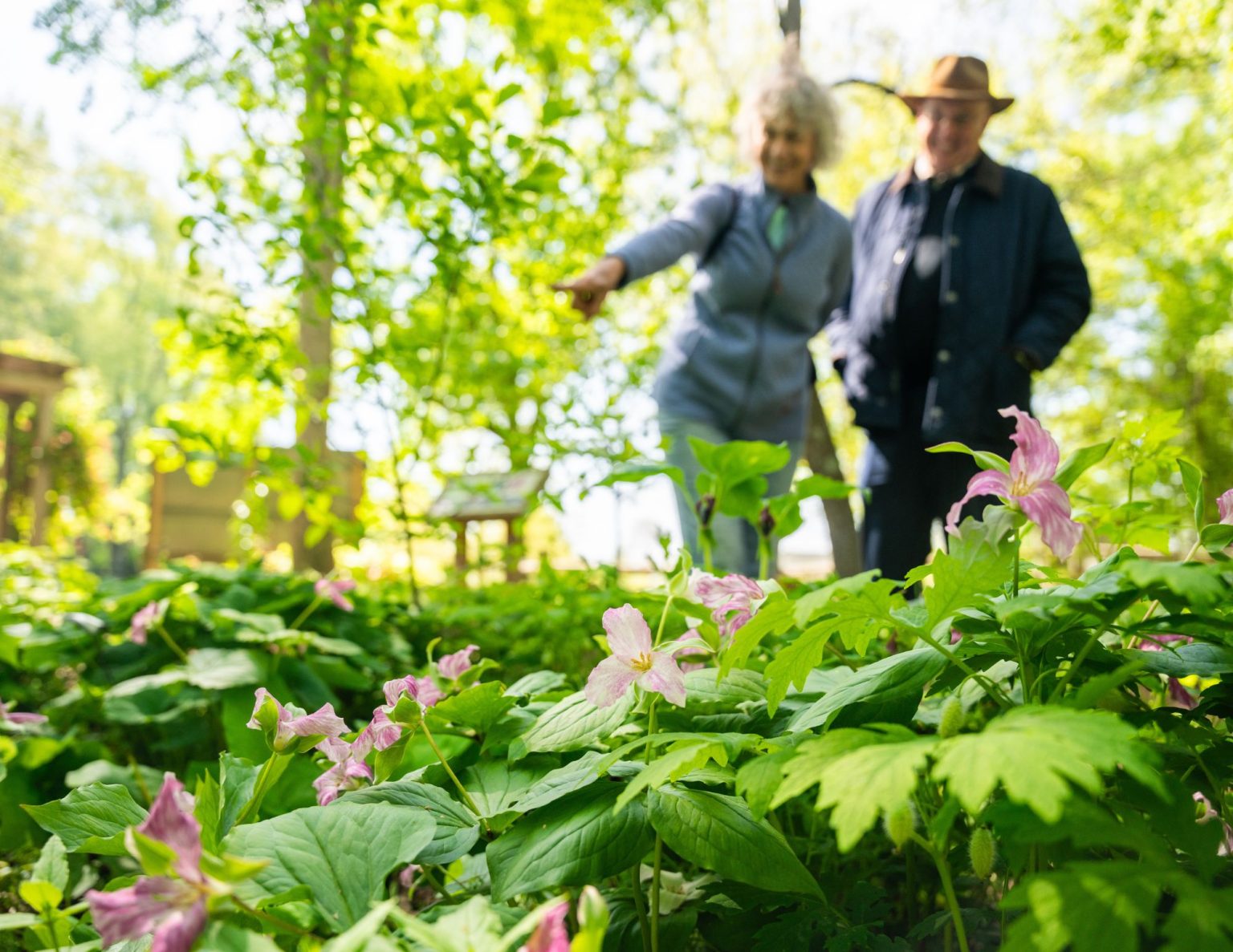Mac & Marla Barr Woodland Garden - Creasey Mahan Nature Preserve